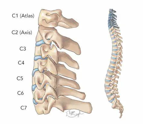 C5-C6 degenerative disc disease: Definition and management | Lombafit